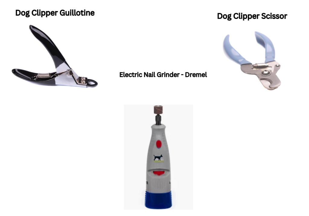 The Essential Guide to Your Dog’s Nail Care – Printdigitables
